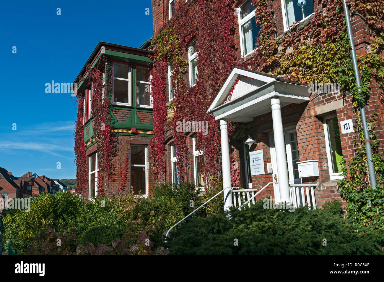 Ivy clad house in Bad Driburg, NRW, Germany Stock Photo - Alamy