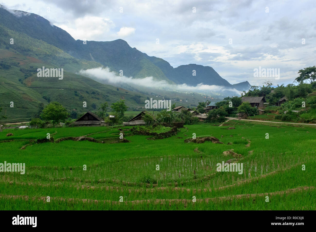 Sapa rice field hi-res stock photography and images - Alamy
