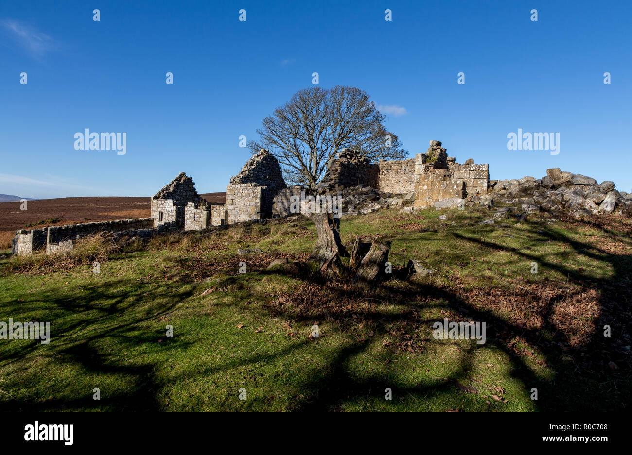 The abandoned farm of Blawearie on Bewick Moor at Old Bewick ...
