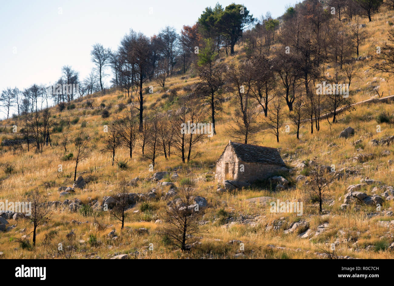 Burnt house hill hi-res stock photography and images - Alamy