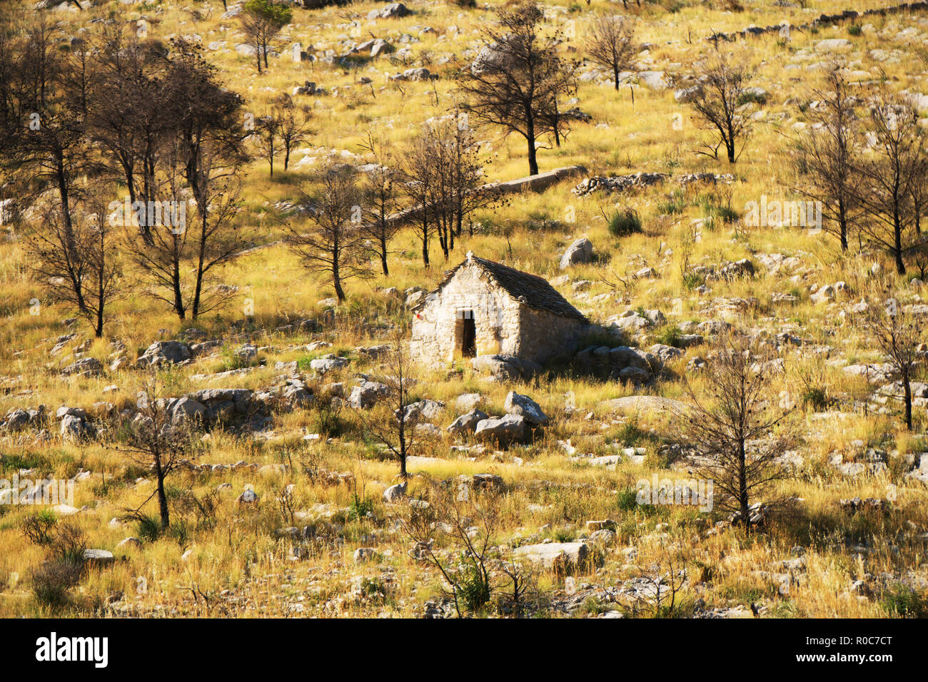 Stone house on a hill among the burned forest Stock Photo - Alamy