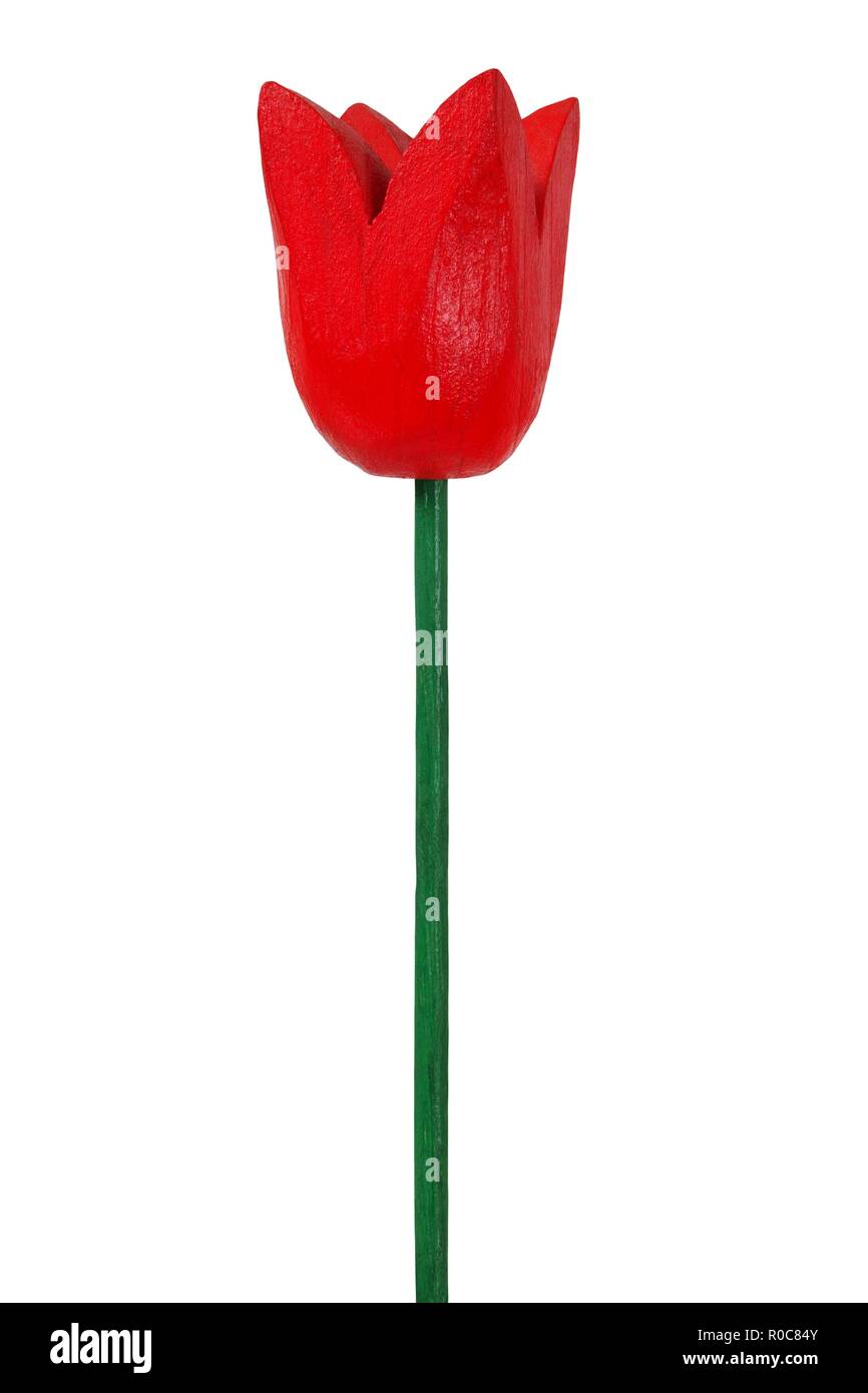 Red wooden tulip isolated on white background Stock Photo - Alamy