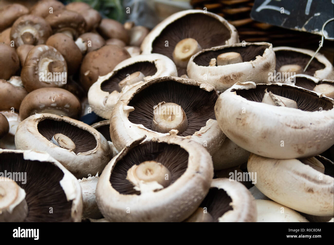 Mushrooms on display at London's Borough Market Stock Photo - Alamy