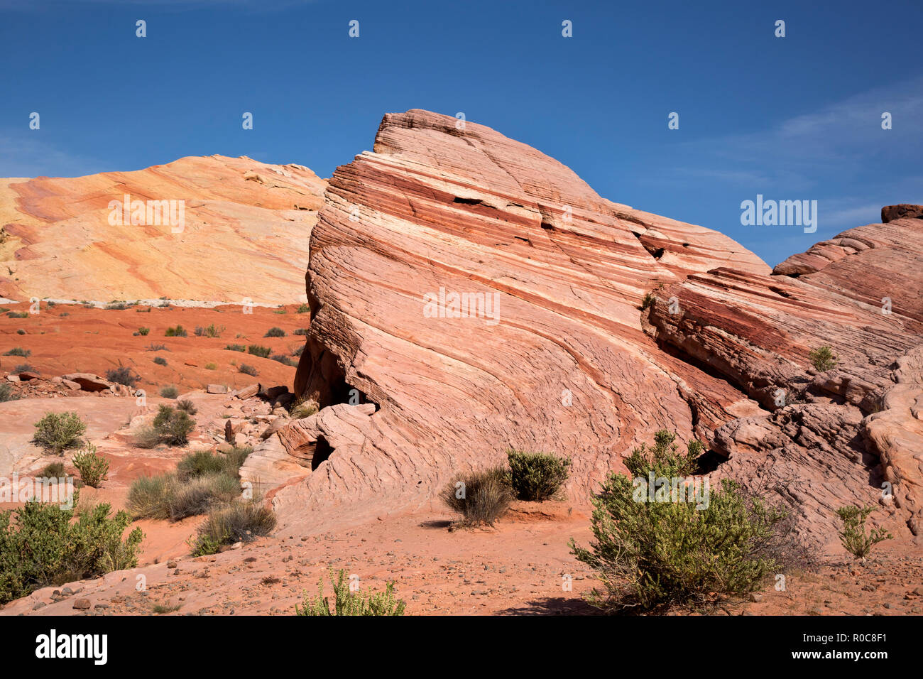 NV00104-00...NEVADA - Colorful bands of layered sandstone, part of the ...