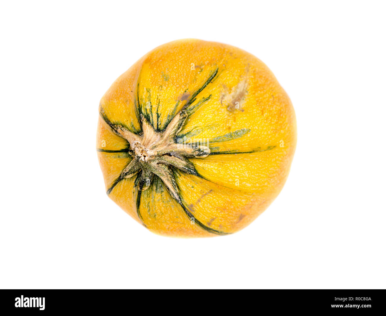 The nature raw squash object Stock Photo - Alamy