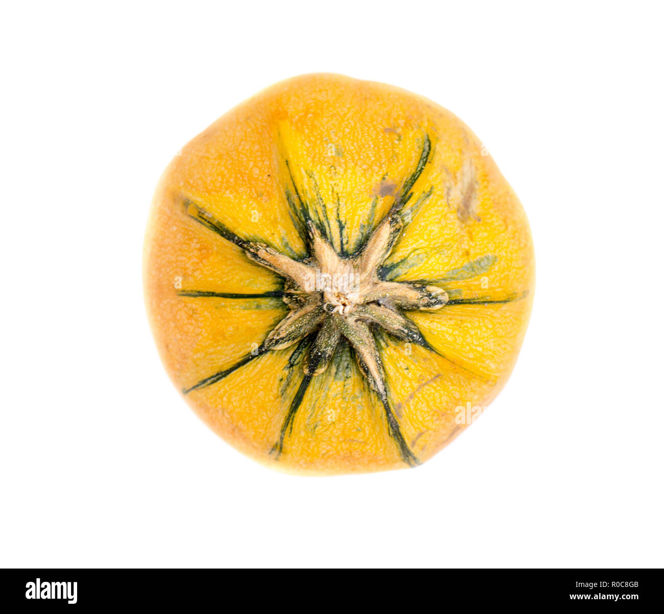 The nature raw squash object Stock Photo - Alamy