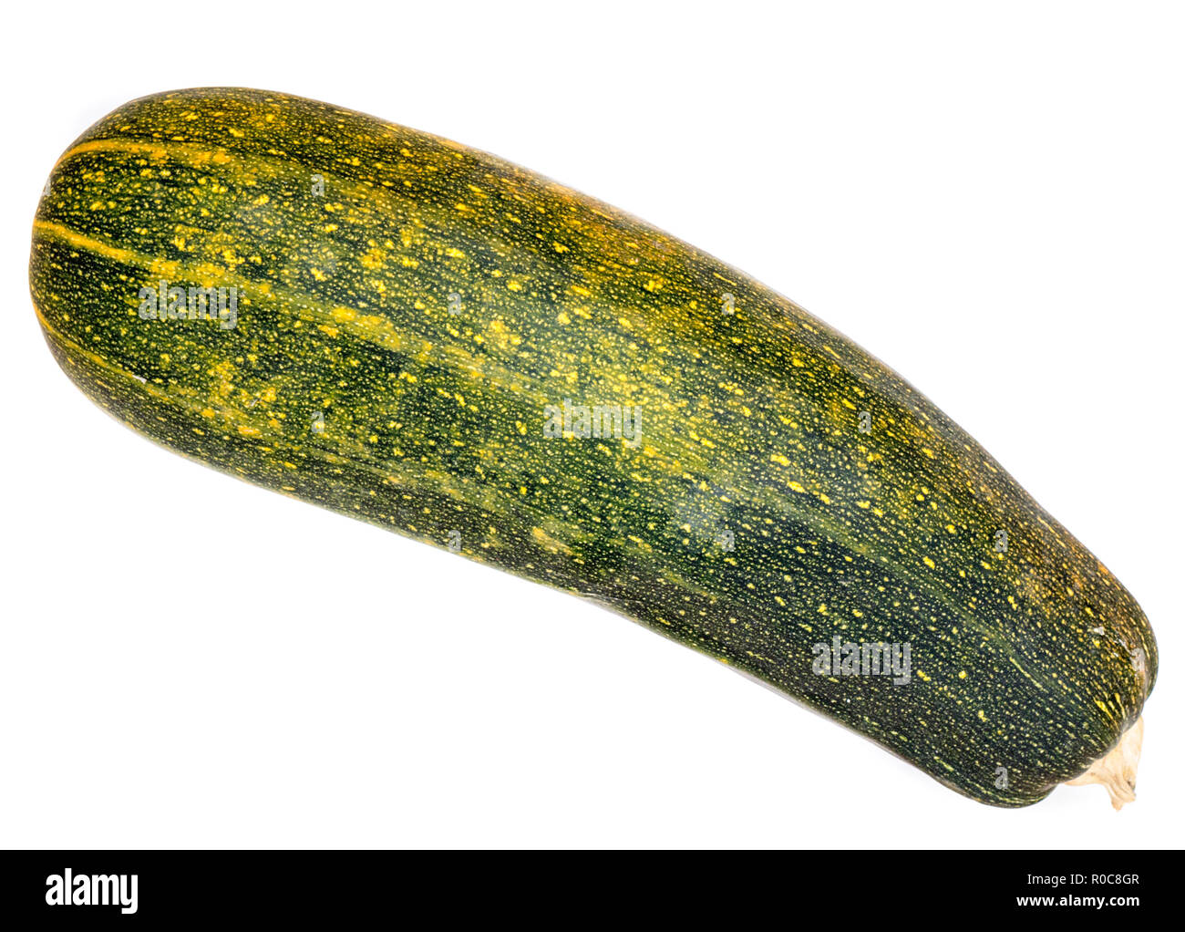 The nature raw squash object Stock Photo - Alamy
