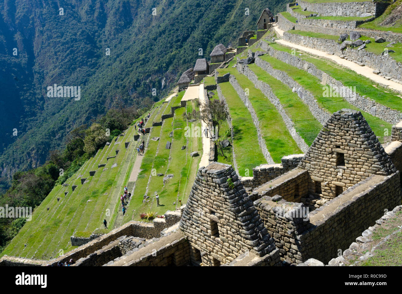 Buildings and terraces, Machu Pichu, Peru Stock Photo - Alamy