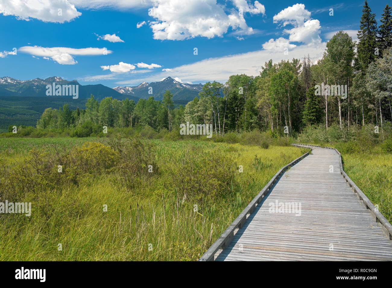Boardwalk in Cranberry Marsh Park, Valemount, British Columbia, Canada ...