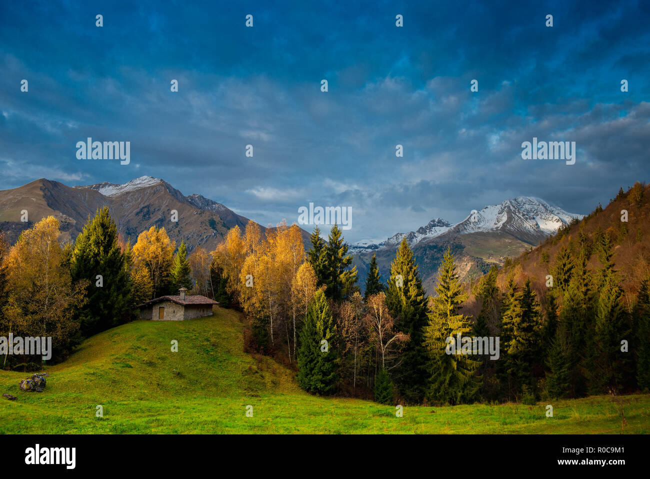 farmhouse with pond trees and meadow in autumn Stock Photo - Alamy