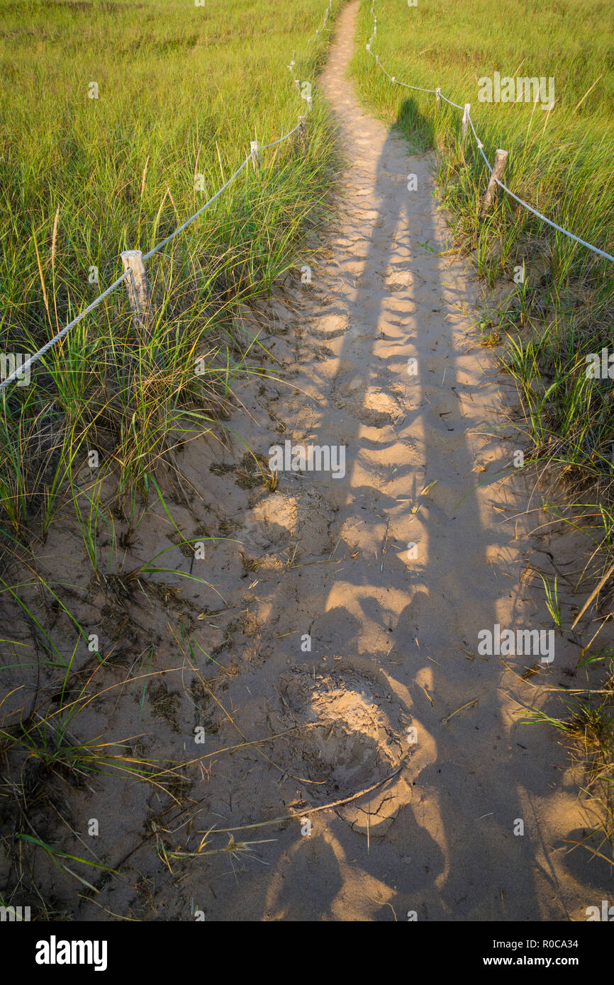 Photographer's shadow stretches over a sandy pathway in the dunes ...
