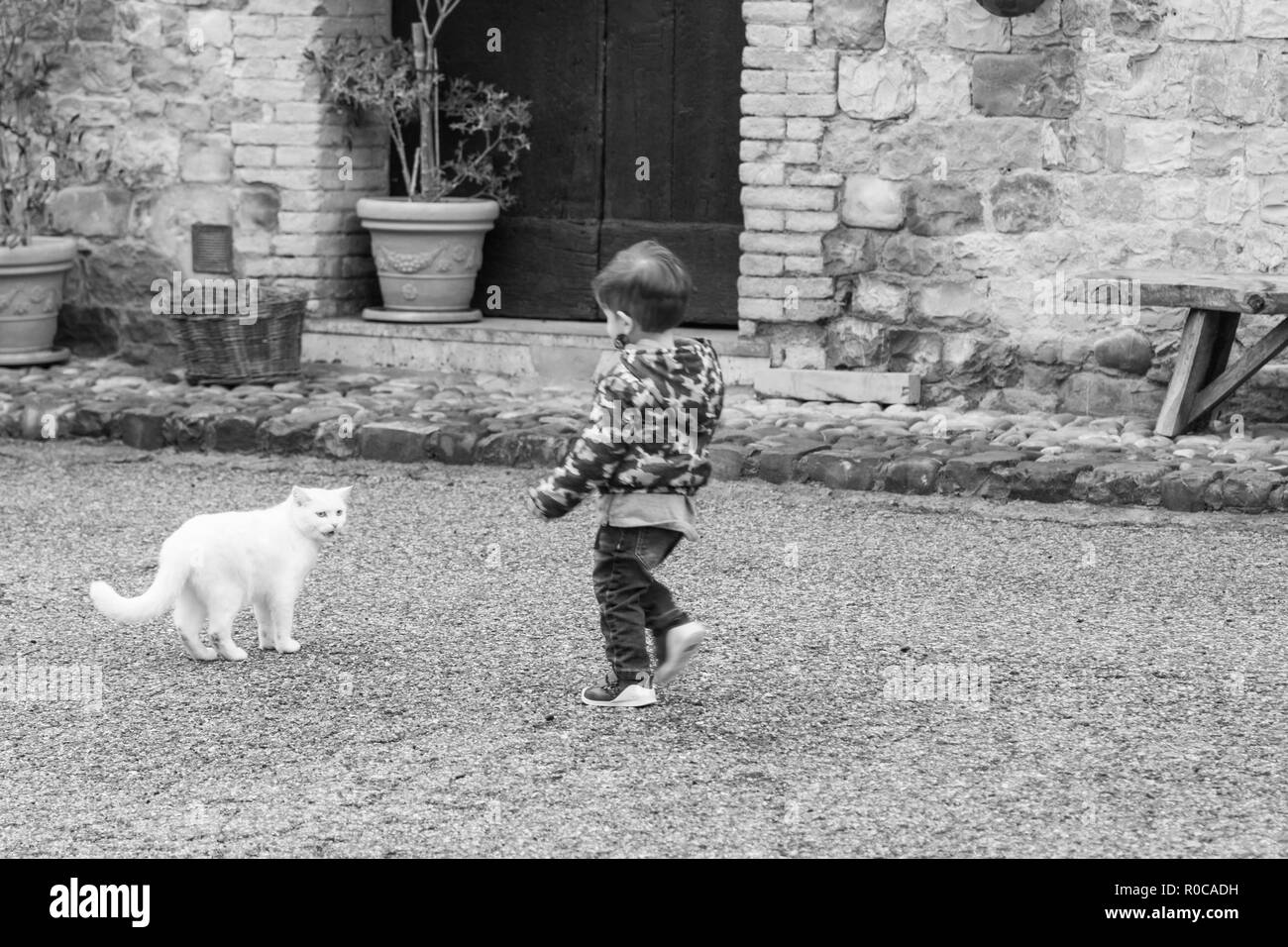 Beauty farm cat in a courtyard with a baby Stock Photo - Alamy