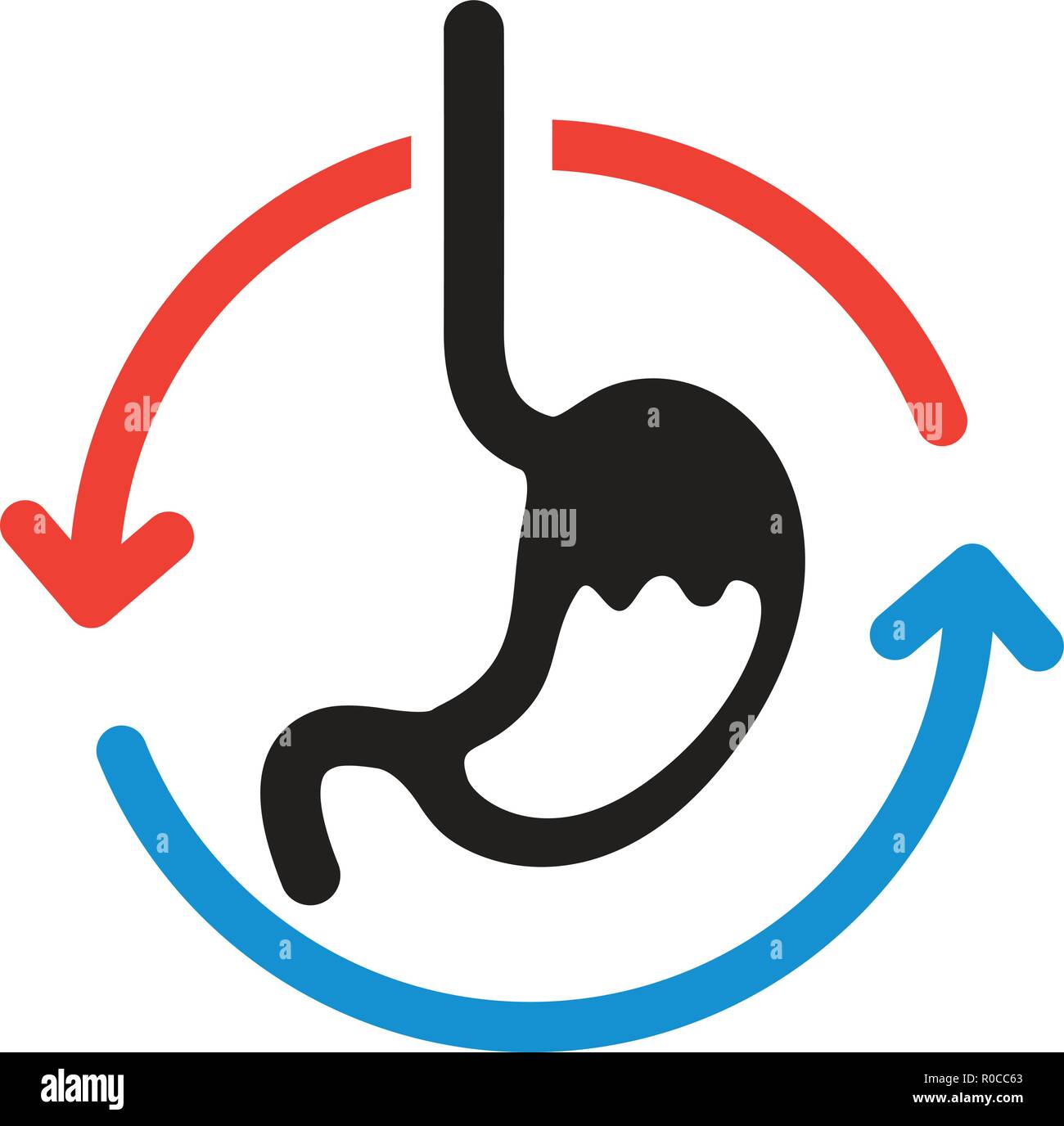 Digestive System Stock Vector Images - Alamy