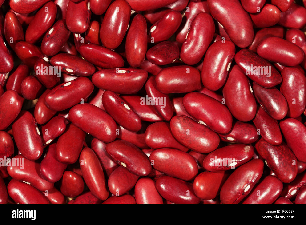 Bean texture hi-res stock photography and images - Alamy