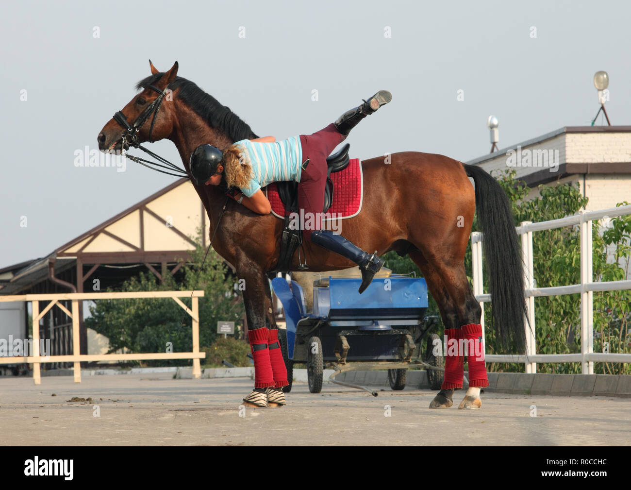 Horse rider falling Stock Photo - Alamy