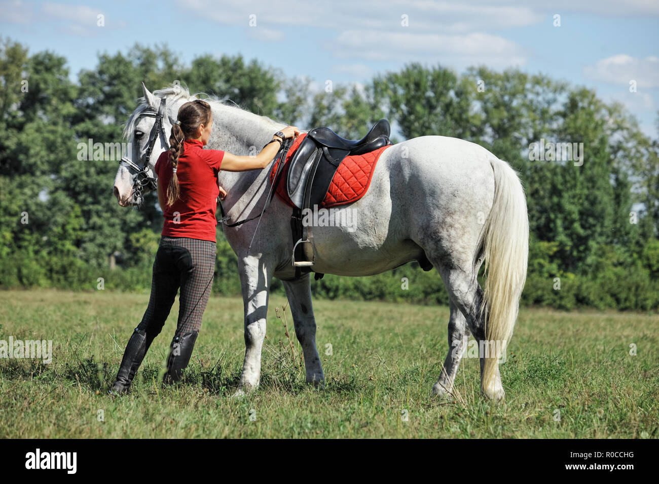 Beautiful equestrian woman and white horse Stock Photo - Alamy