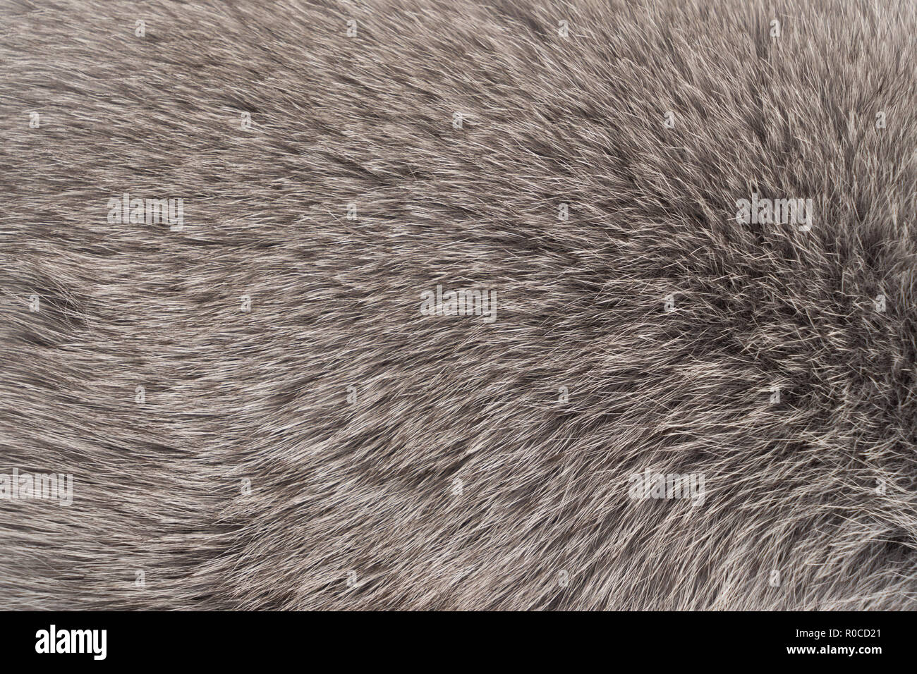 Blue fur background Stock Photo - Alamy