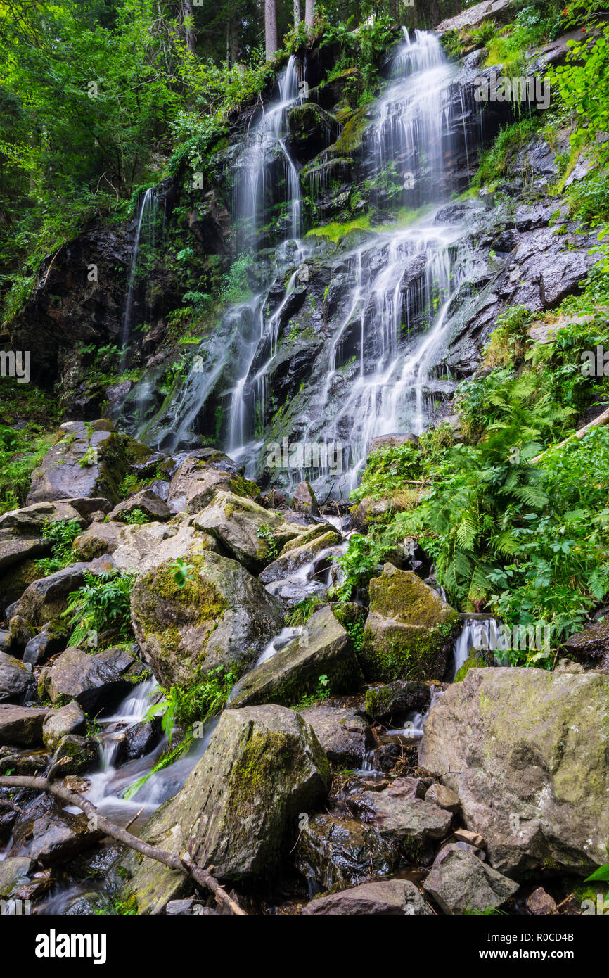 Downfall hi-res stock photography and images - Alamy