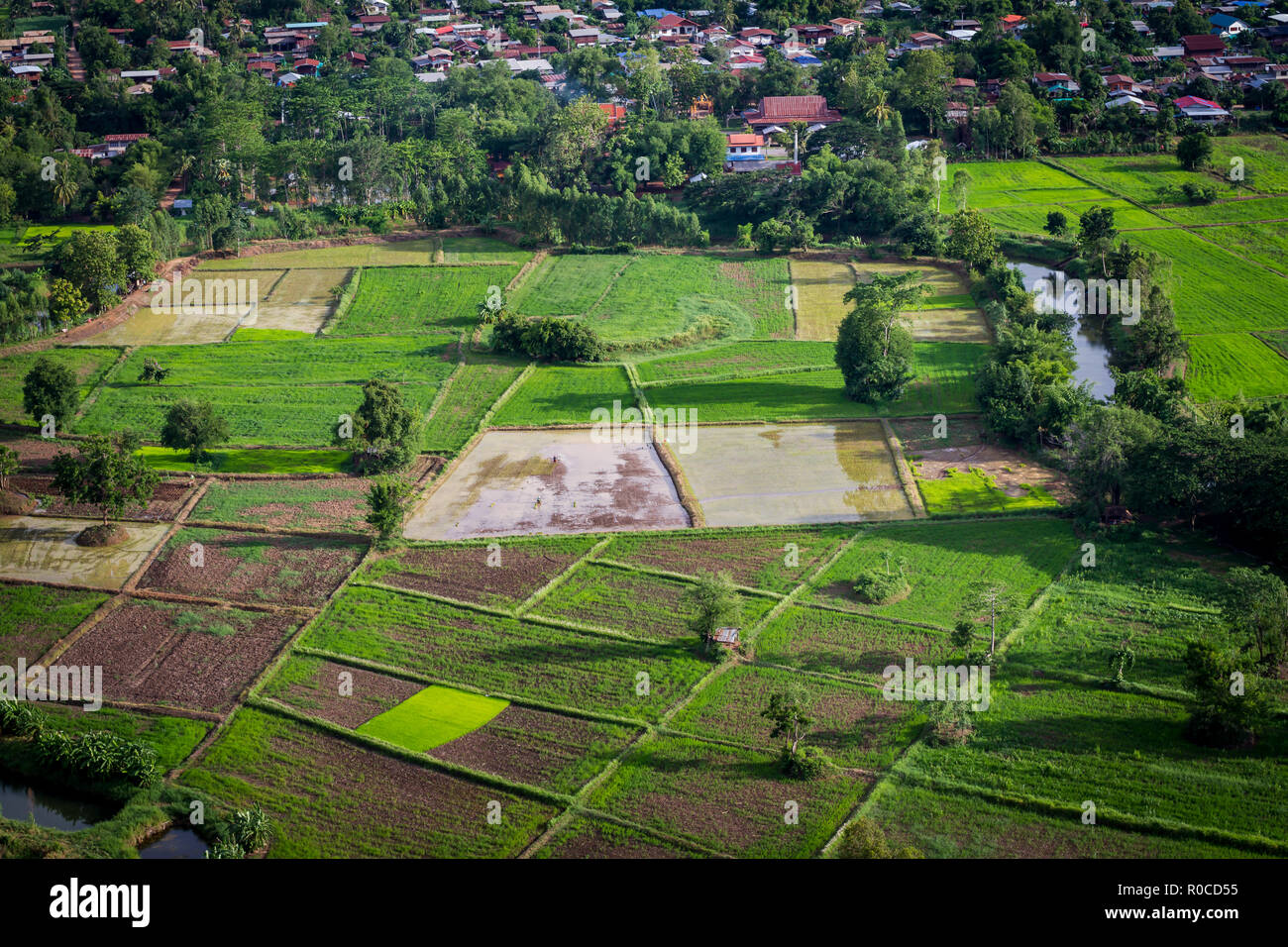 Landscape photo of rice and village in thailand Stock Photo - Alamy