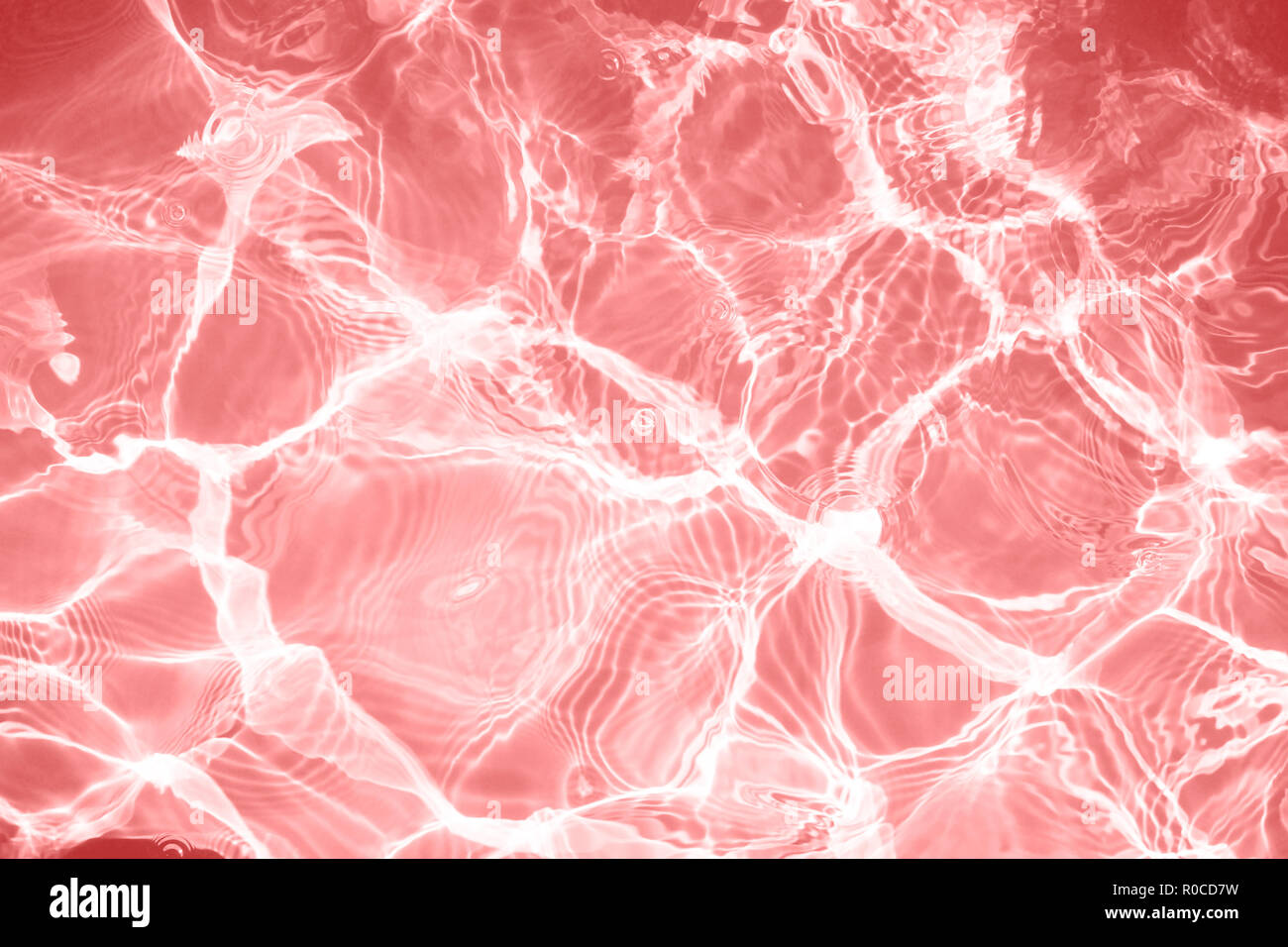 Red water surface with bright sun light reflections, water in swimming ...