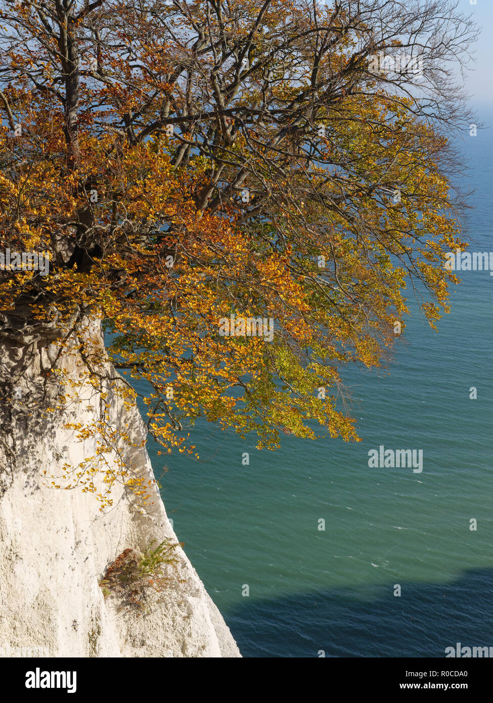 the coast of ruegen Stock Photo - Alamy