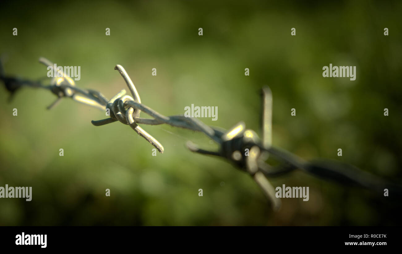 Close up barbed wire hi-res stock photography and images - Alamy