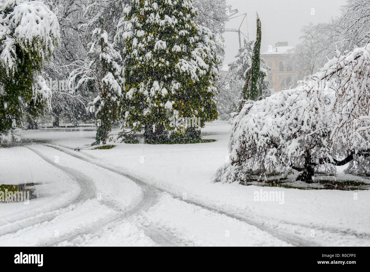 The botanical garden Ciani at Lugano on Switzerland with snow Stock ...