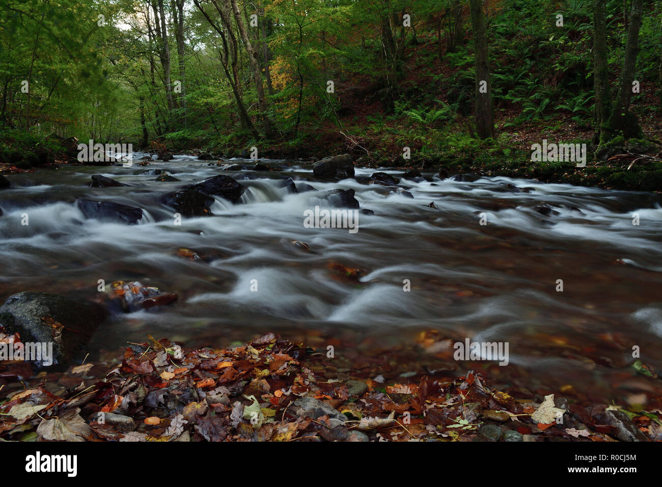 Crook Of Devon High Resolution Stock Photography and Images - Alamy