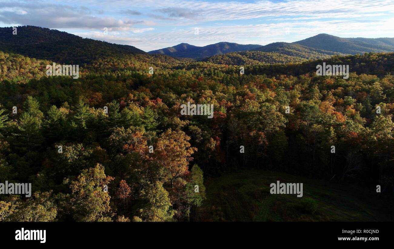 Aerial (drone) captured sunset with colorful hardwood forest and trees ...