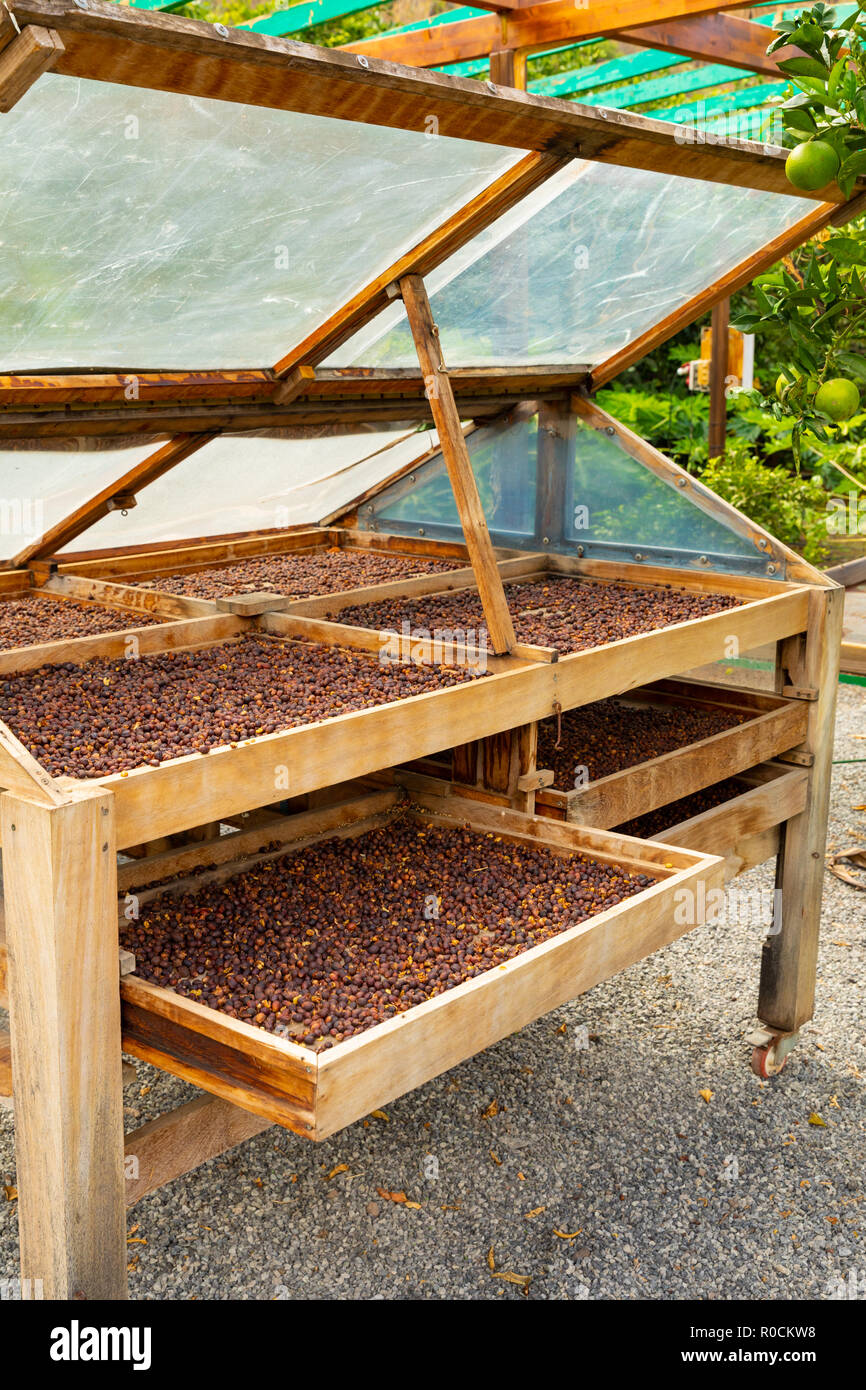 Food drying hi-res stock photography and images - Alamy