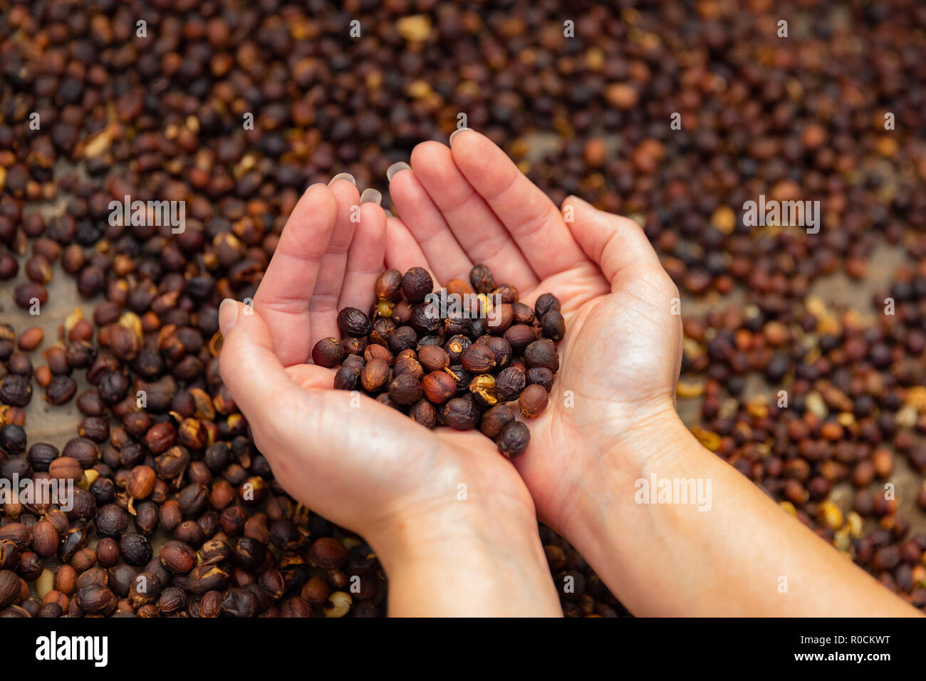 Cupped fruit hi-res stock photography and images - Alamy