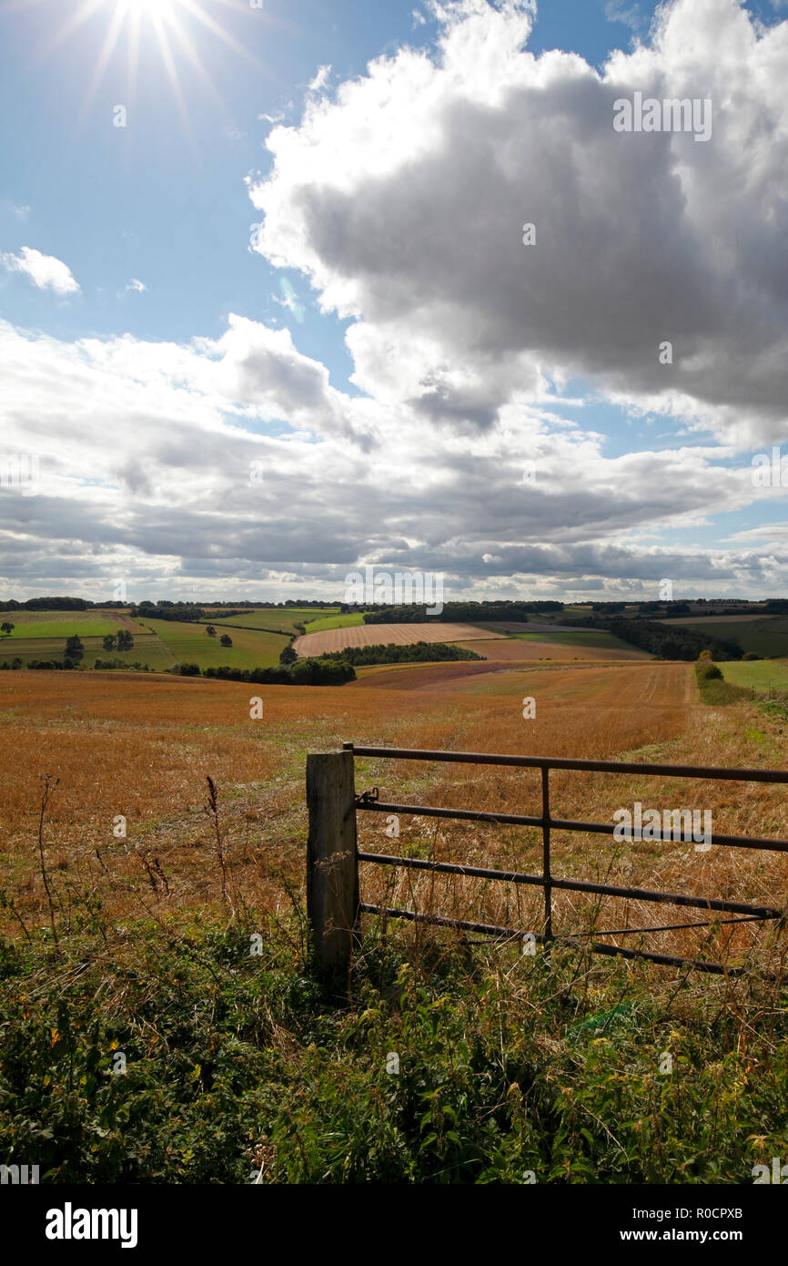 English farm scene hi-res stock photography and images - Alamy