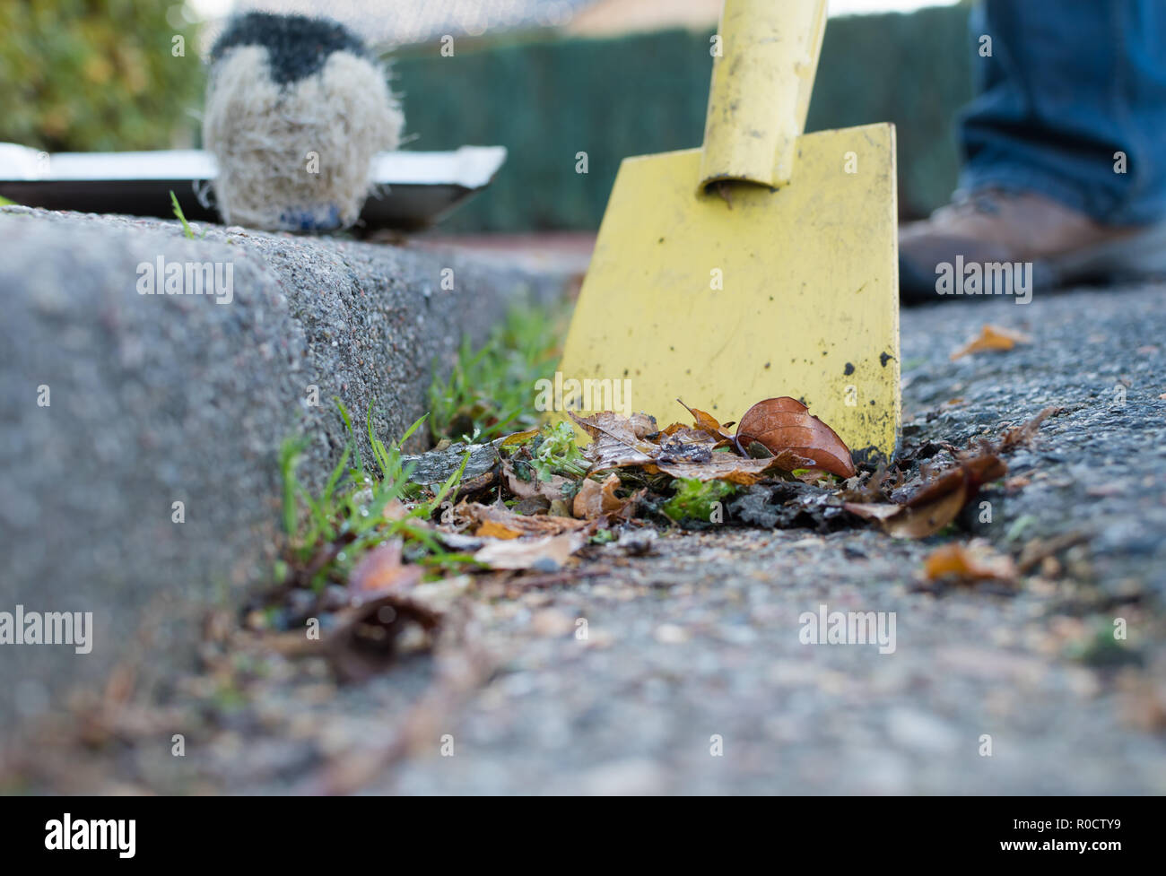 Man is cleaning the street gutter Stock Photo - Alamy