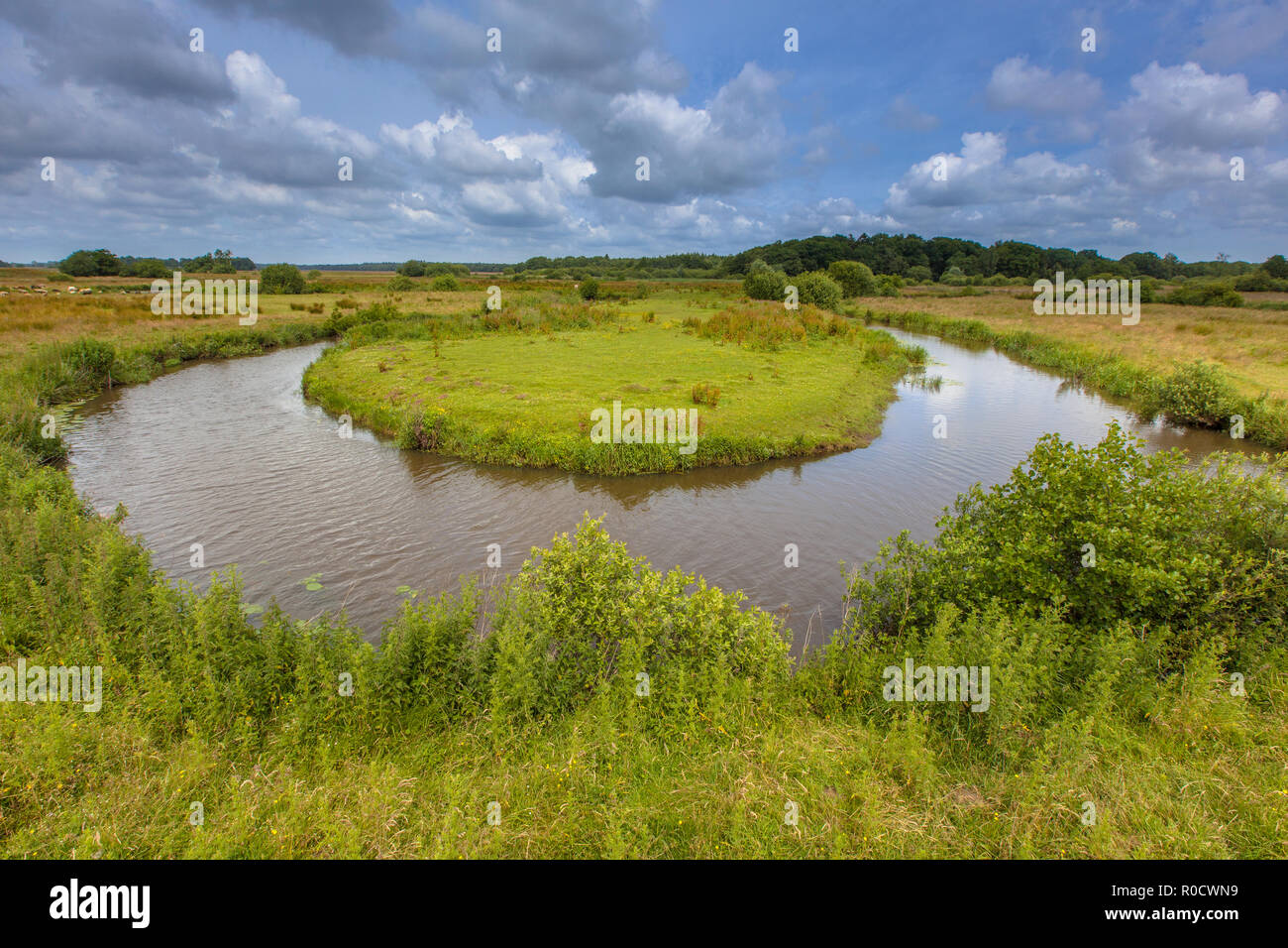 Drentsche aa national park hi-res stock photography and images - Alamy