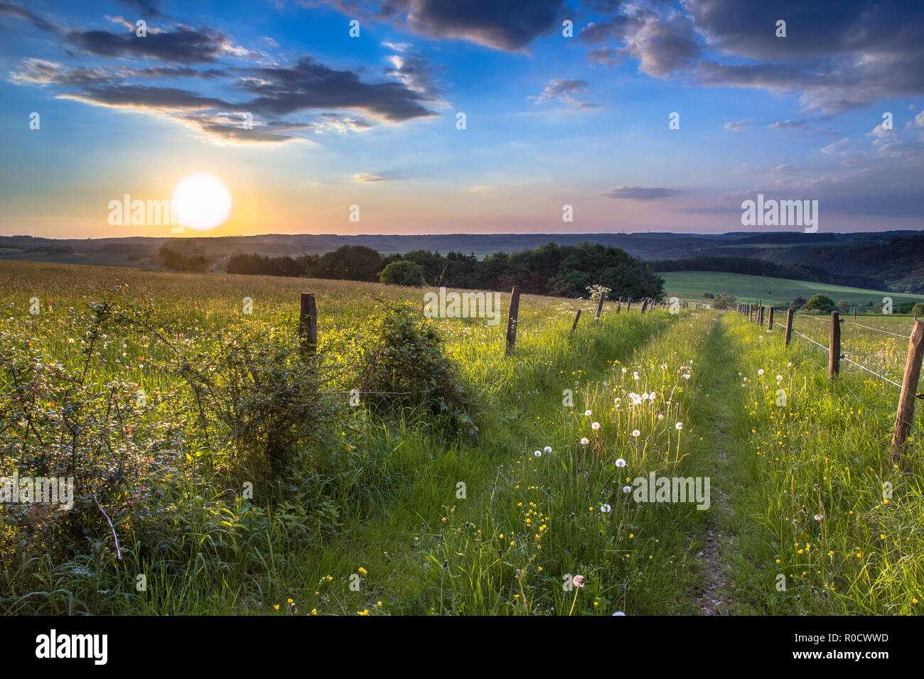 Trail perspective to a point on the horizon in german countryside with ...