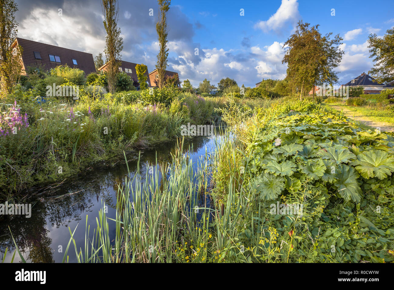 Excessive rainwater discharge draining canal with natural vegetation on ...