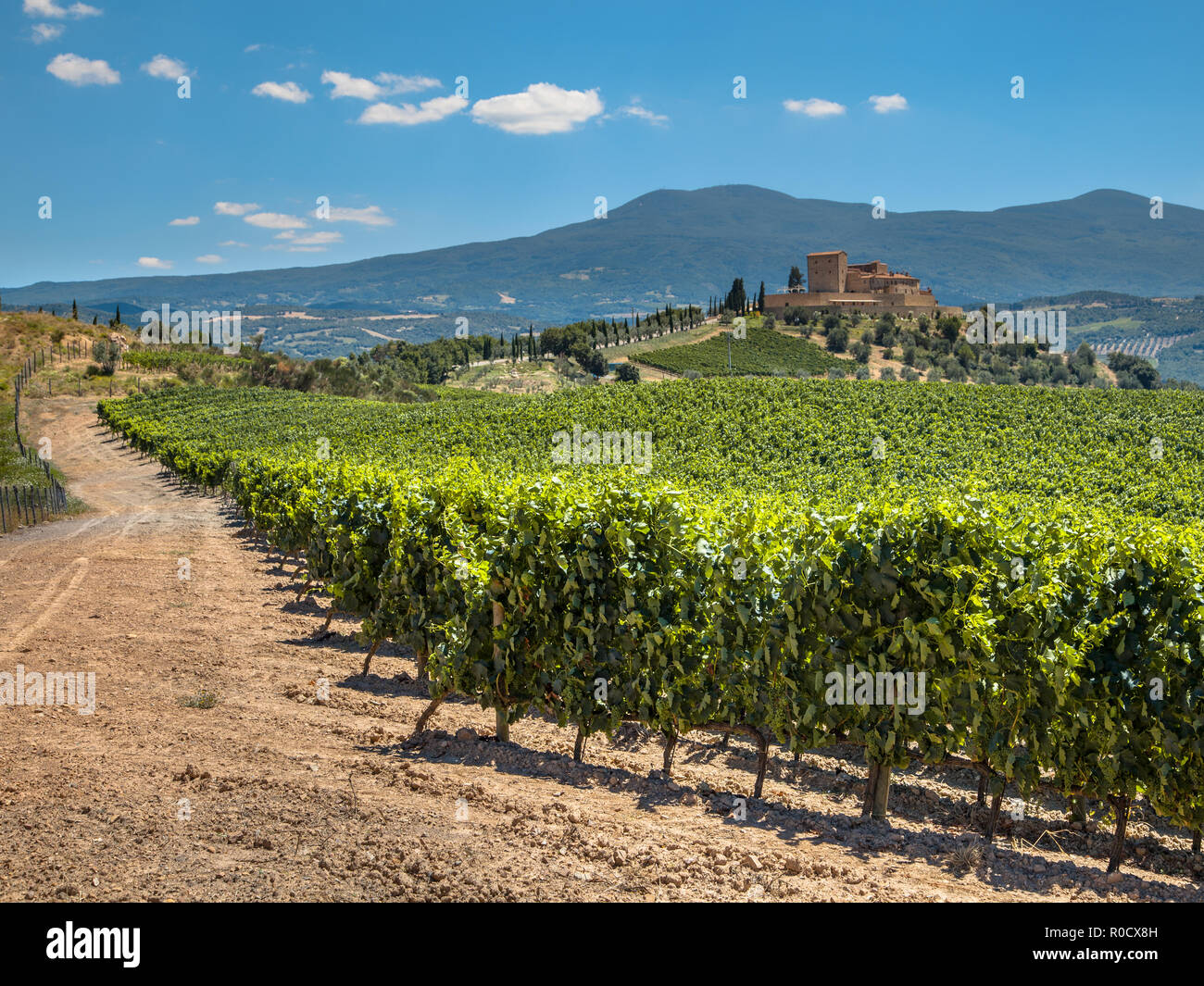 Castle Overseeing Vineyards from a Hill on a Clear Summer Day Stock ...