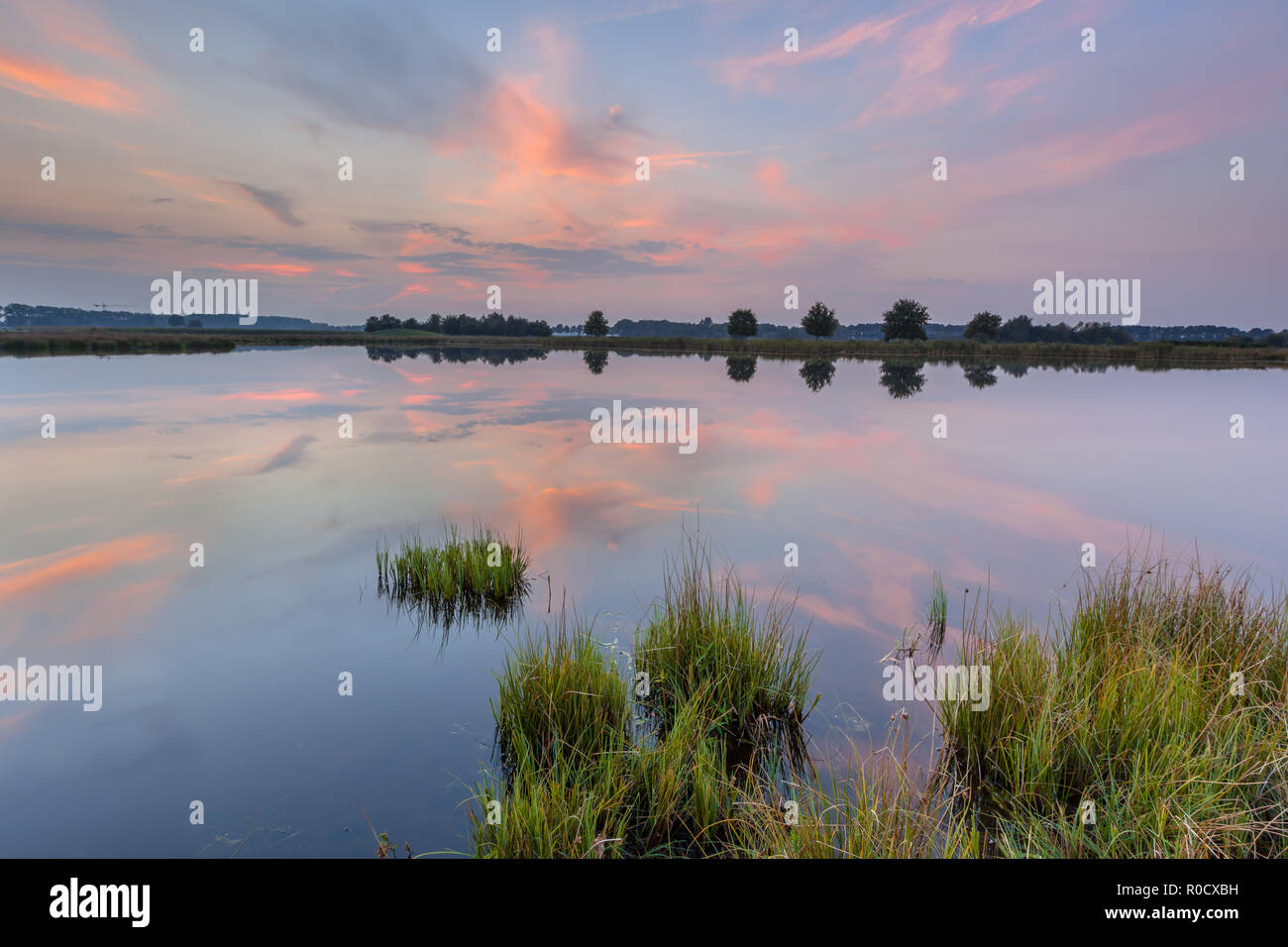 Westerbroek hi-res stock photography and images - Alamy