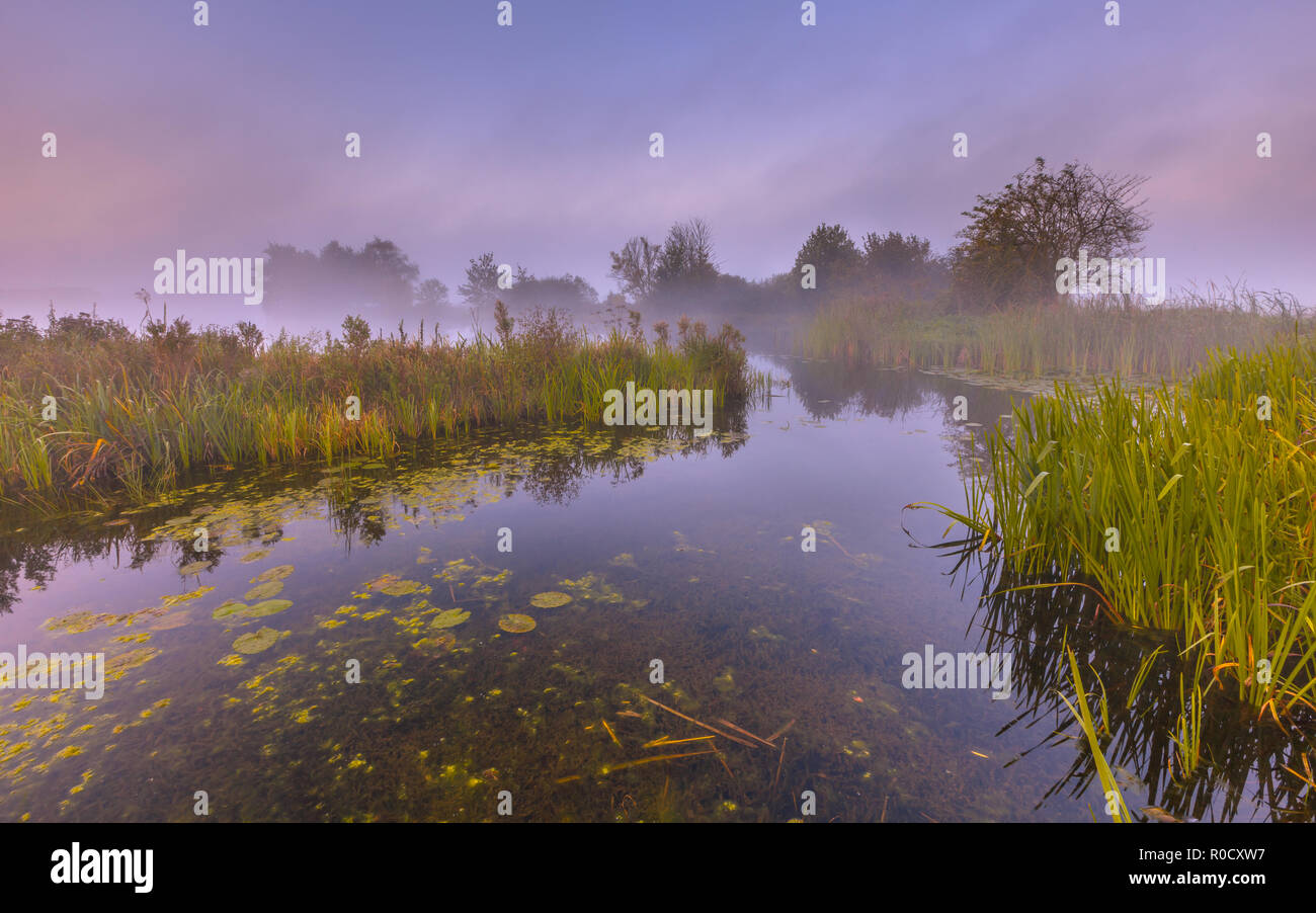 Marshland silhouette hi-res stock photography and images - Alamy