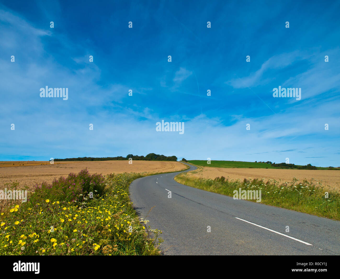Winding asphalt road in french countryside Stock Photo - Alamy