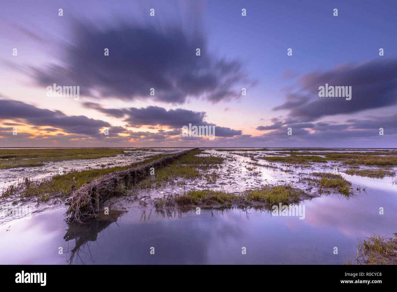 New land being created in the tidal marsh of the Waddensea on the ...