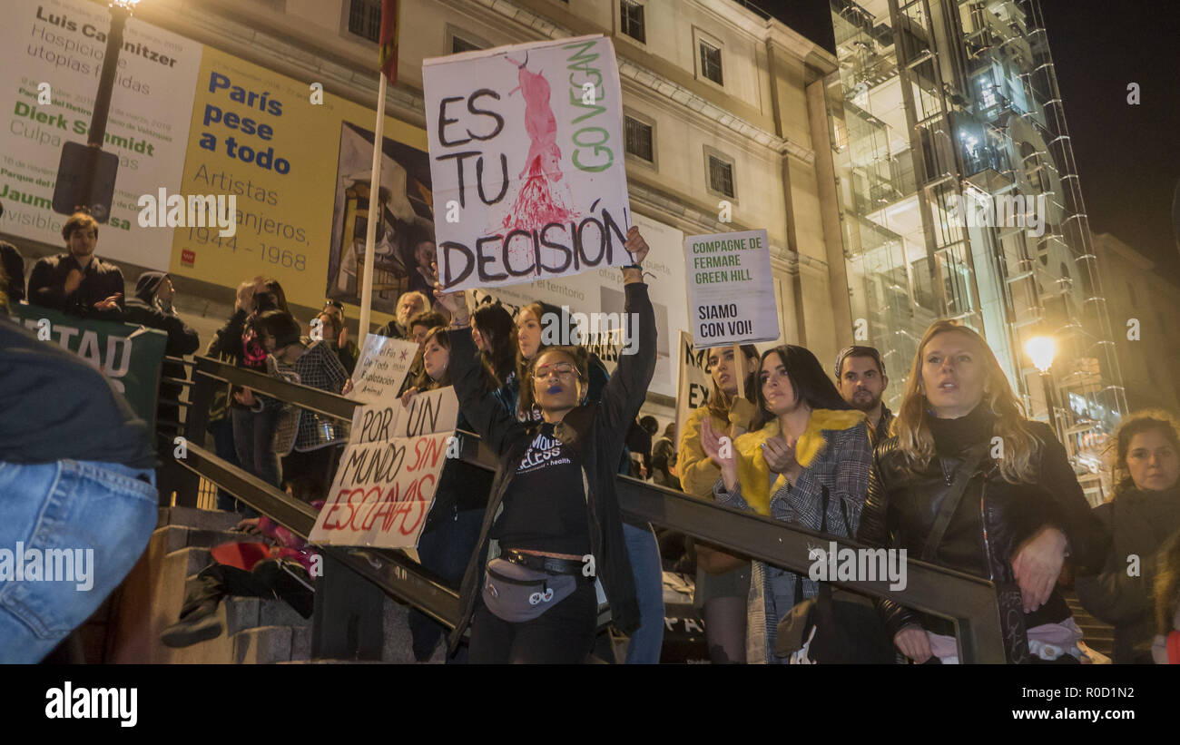 Madrid, madrid, Spain. 3rd Nov, 2018. Protesters are seen holding ...