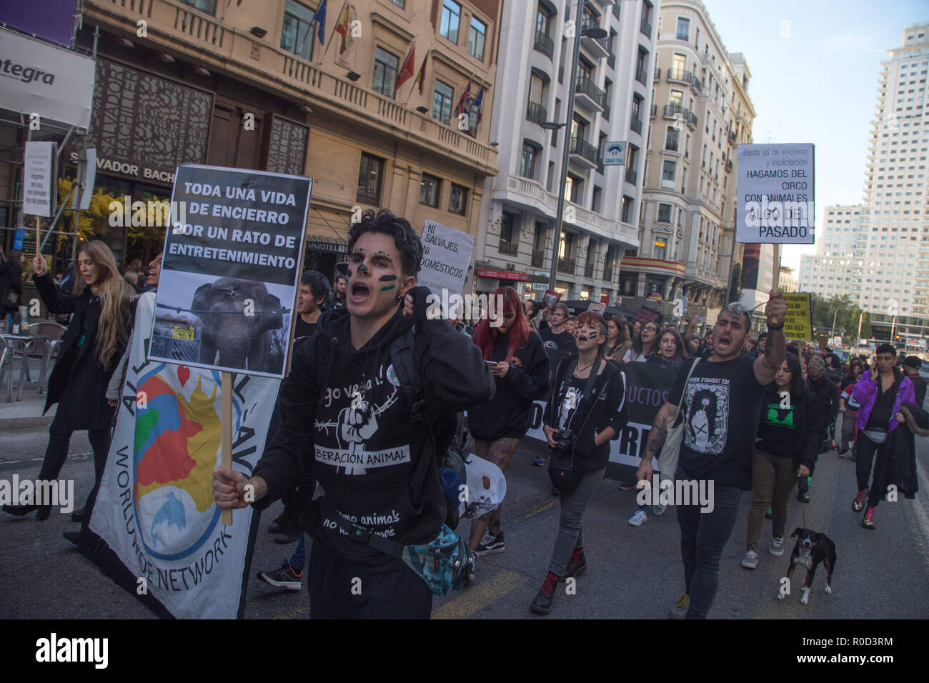 Against zoos hi-res stock photography and images - Alamy