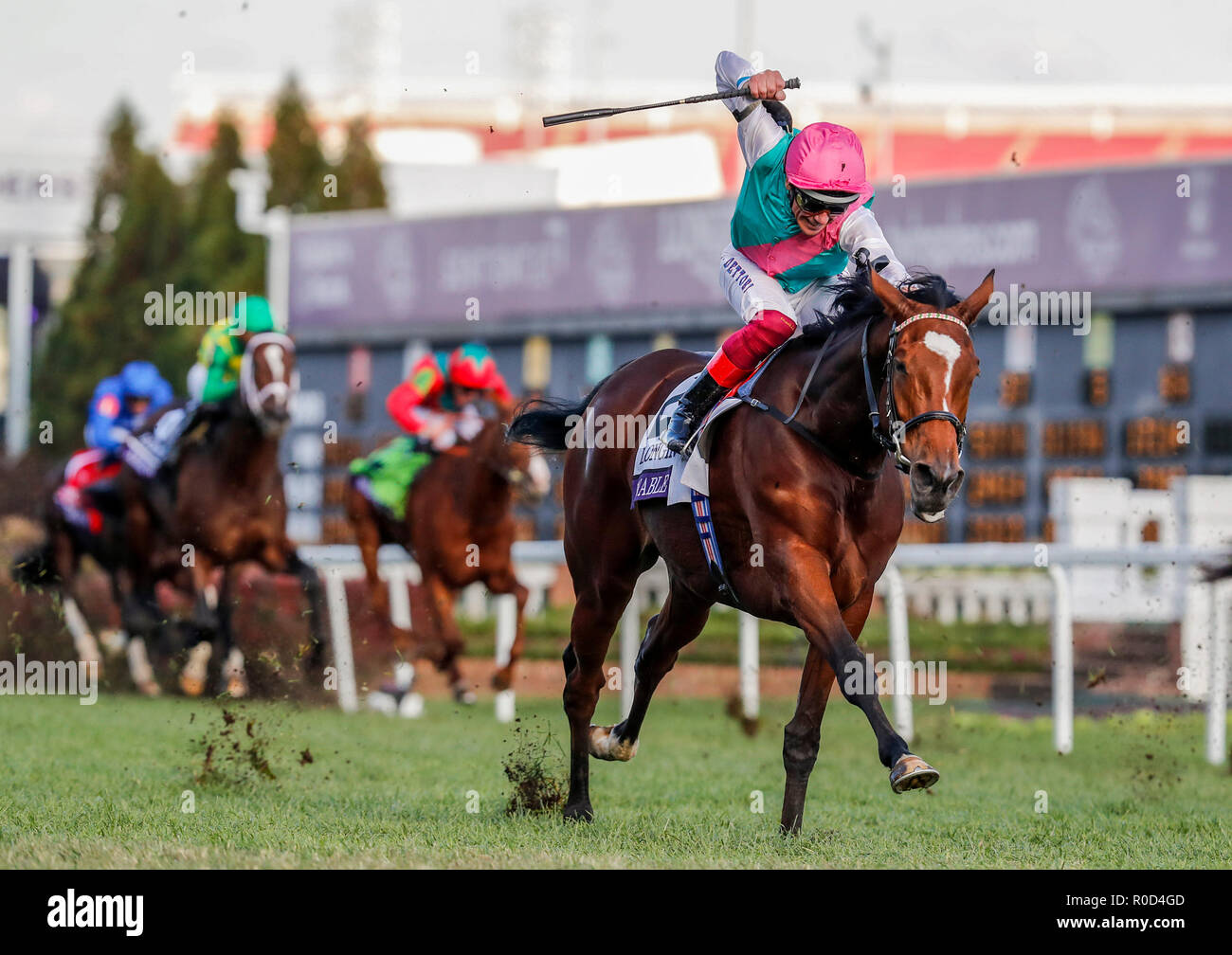 Enable horse hi-res stock photography and images - Alamy