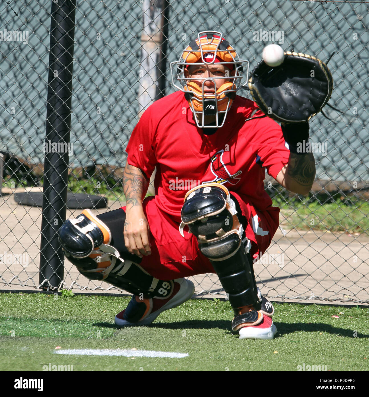 November 3, 2018 - St. Louis Cardinals Yadier Molina during a warm up ...