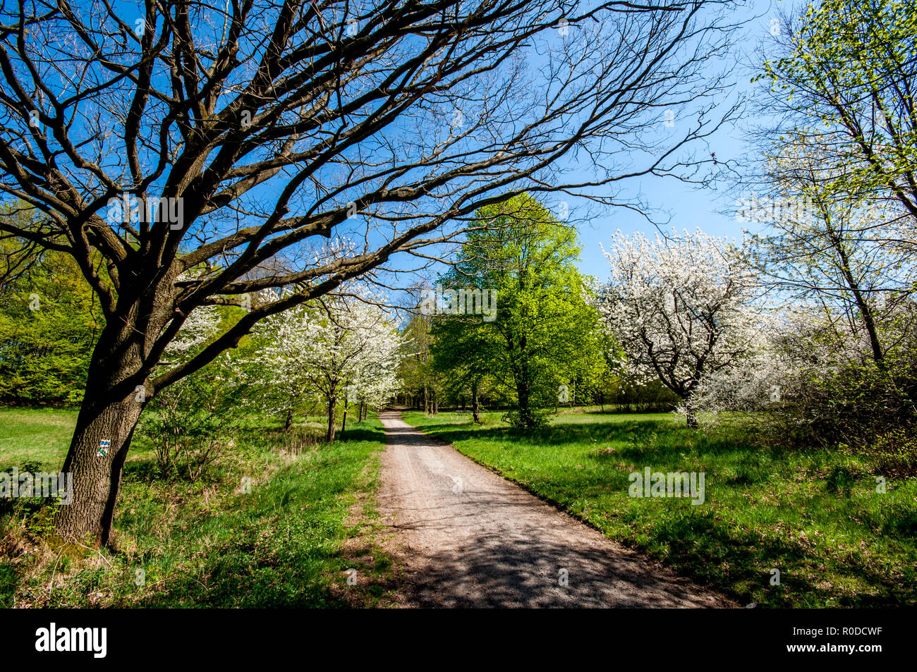 Springtime landscape along road hi-res stock photography and images - Alamy