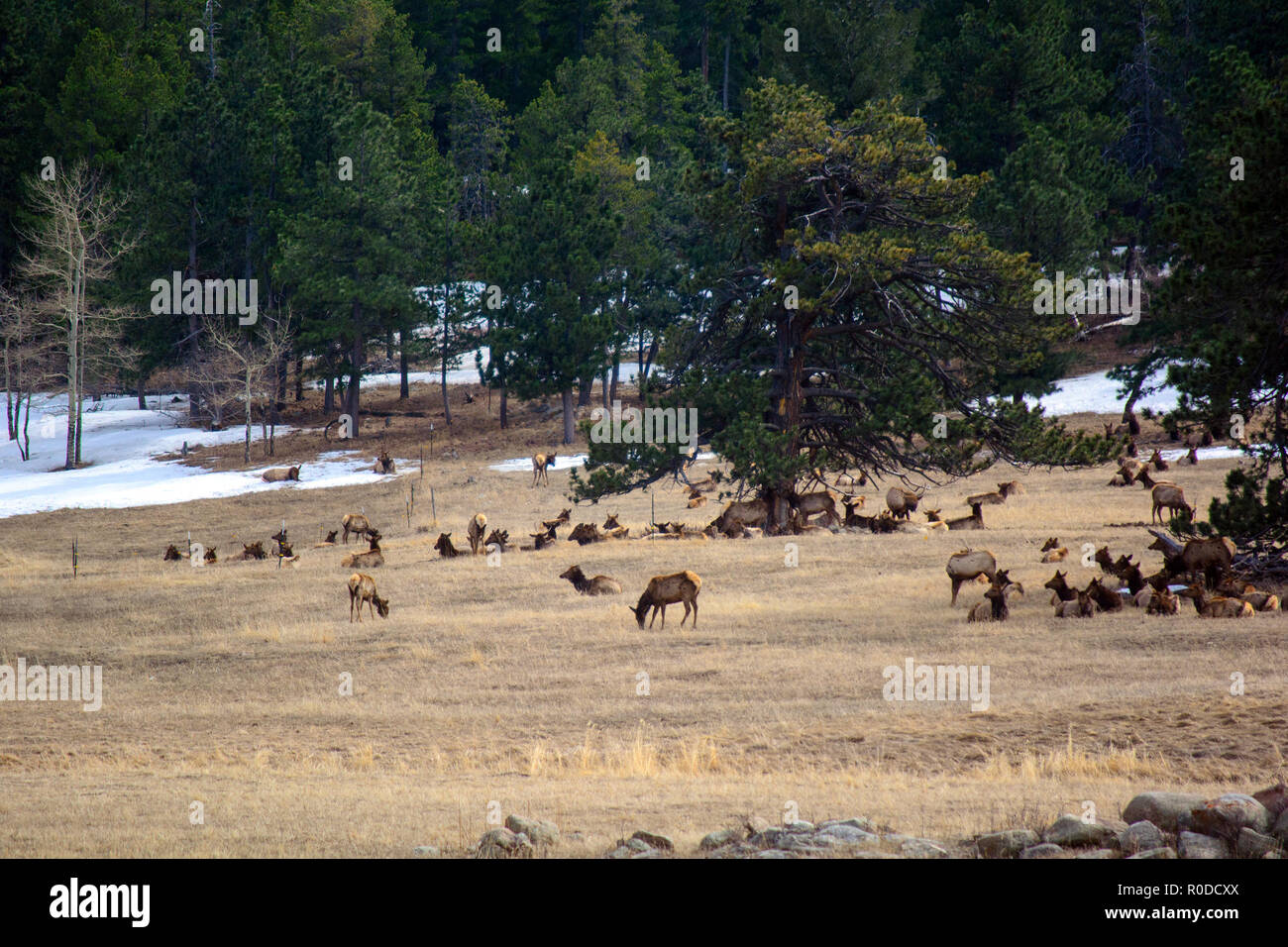 West elk range hi-res stock photography and images - Alamy