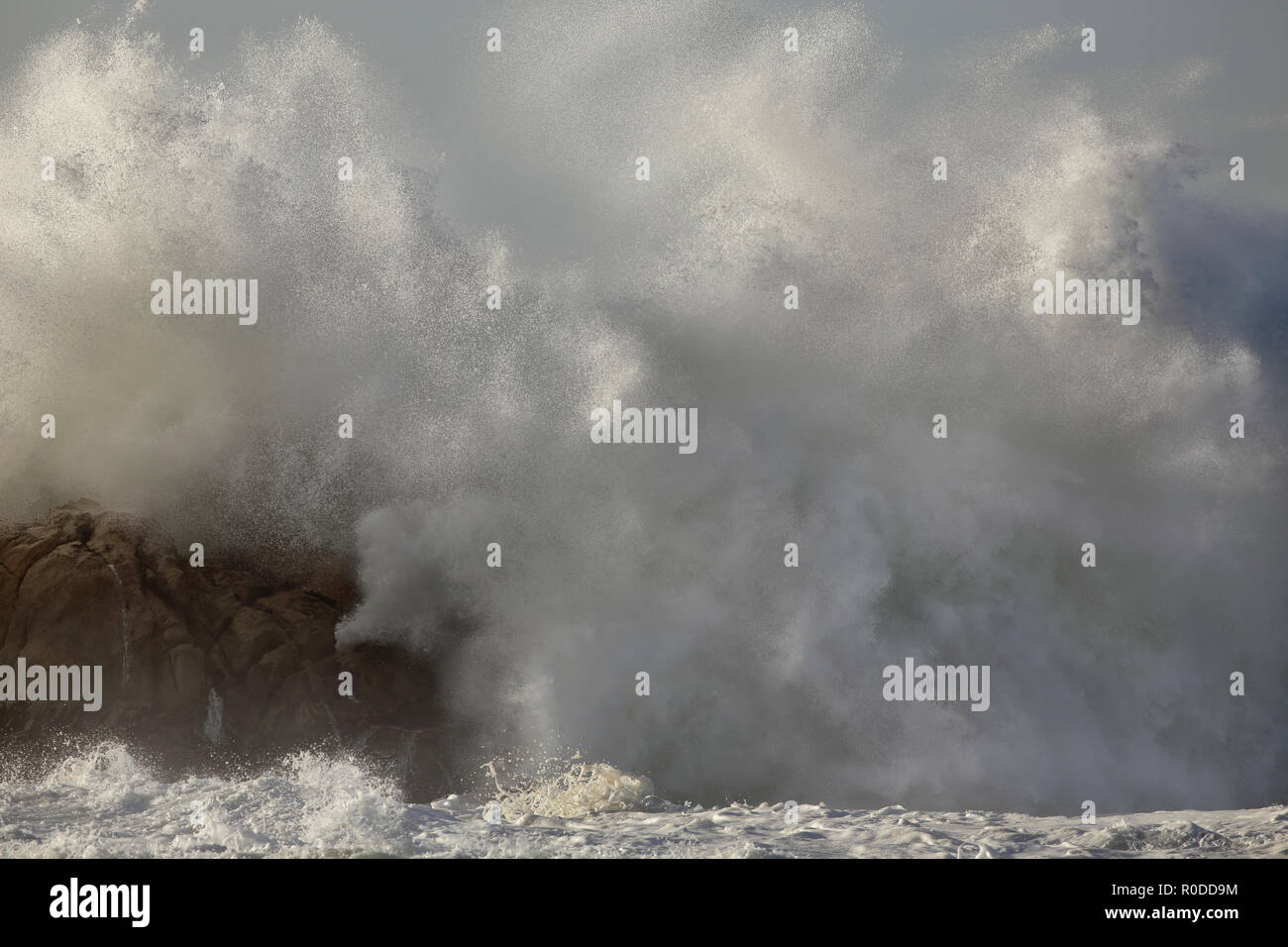 Big sea wave splash detail Stock Photo - Alamy