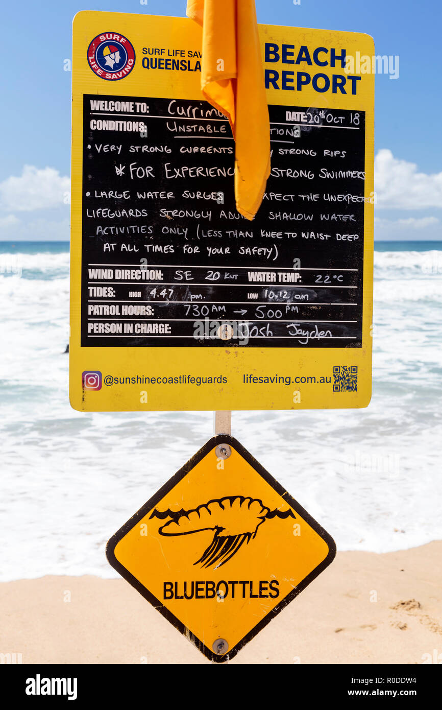 Type of safety beach report with local information and conditions ...