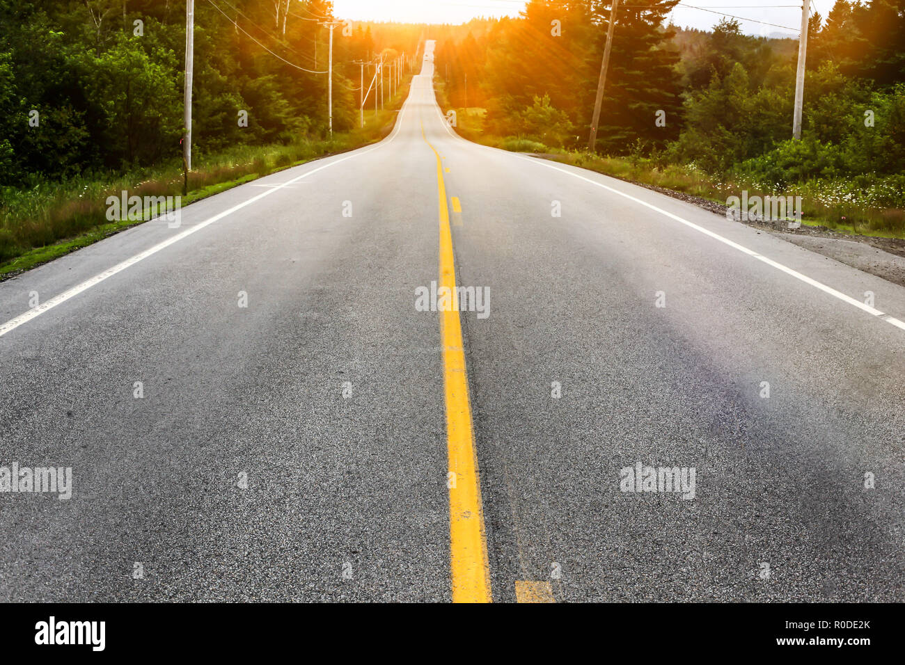 Road with long view with sunbeam thru forest Stock Photo - Alamy